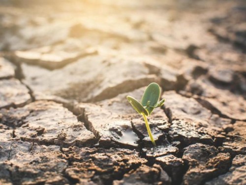 As Drought Emerges, Ohio State creates Drought Rapid Response Team to ...