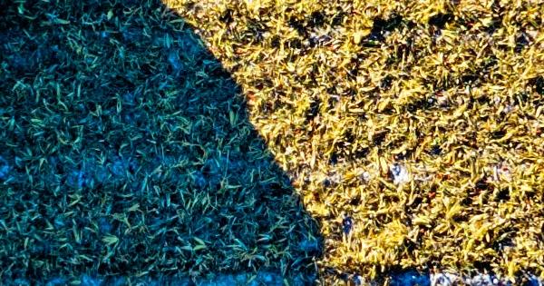 Farm Science Review | State Climate Office of Ohio