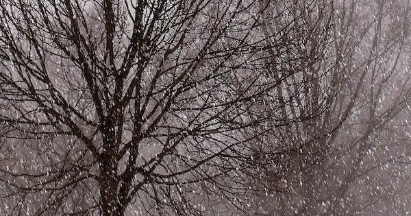 Snow Melting Dynamics: The Role of Rain and Temperature | State Climate ...