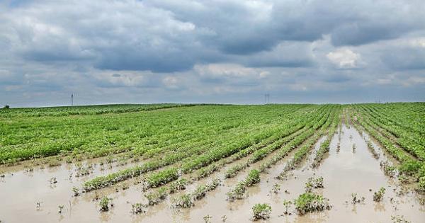 How More Springtime Rain is Putting Pressure on Ohio Farmers | State ...