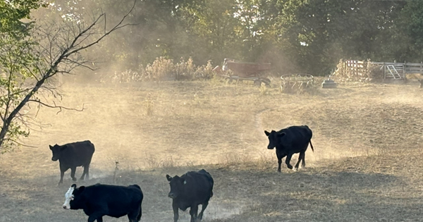 Ohio's Historic Drought of 2024: How Early Warning Systems Mitigated ...