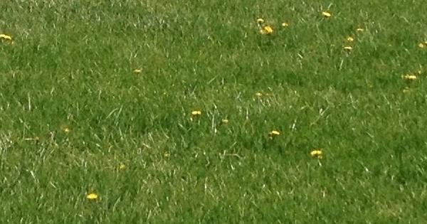 Farm Science Review | State Climate Office of Ohio